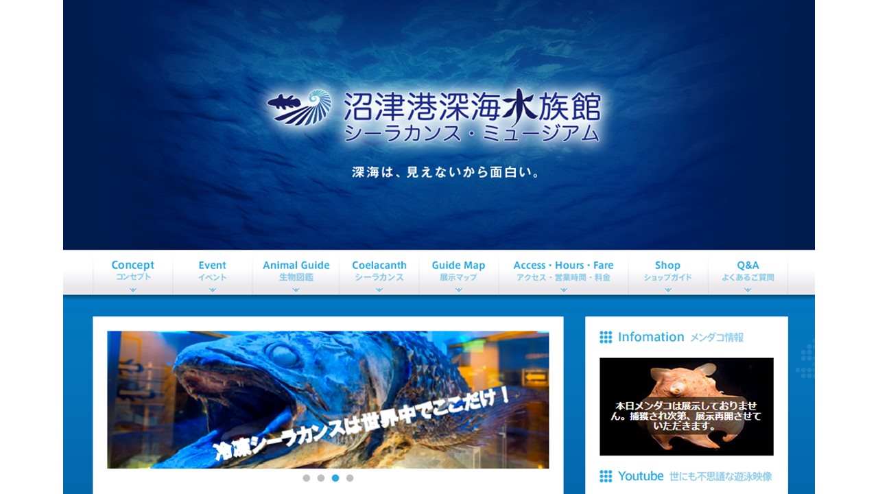 Shizuoka Japan Travel Trip recommend spot
